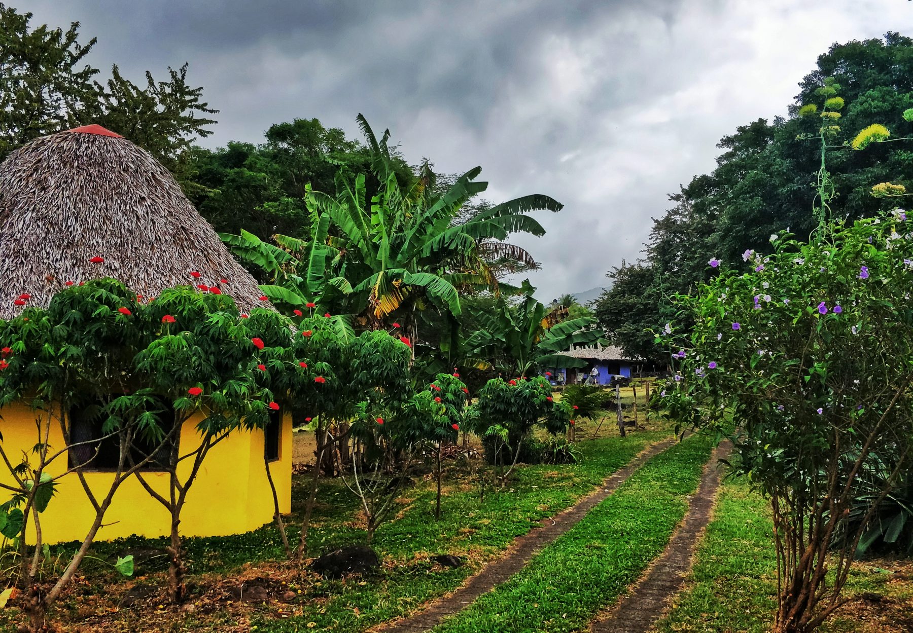 cropped-IMG_20181226_113750-01-Copy.jpeg – FINCA DEL SOL